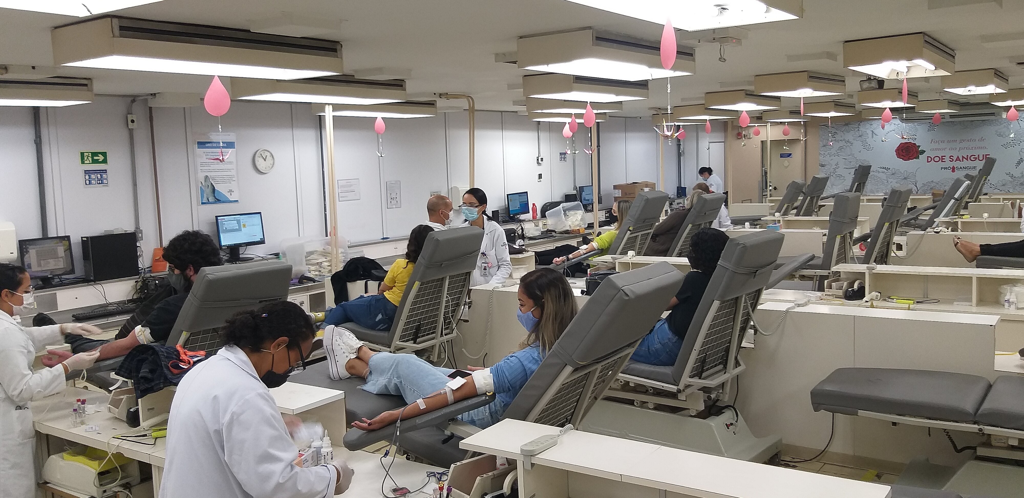 Fundação Pró-Sangue opera com menos de 40% da capacidade; saiba como ...