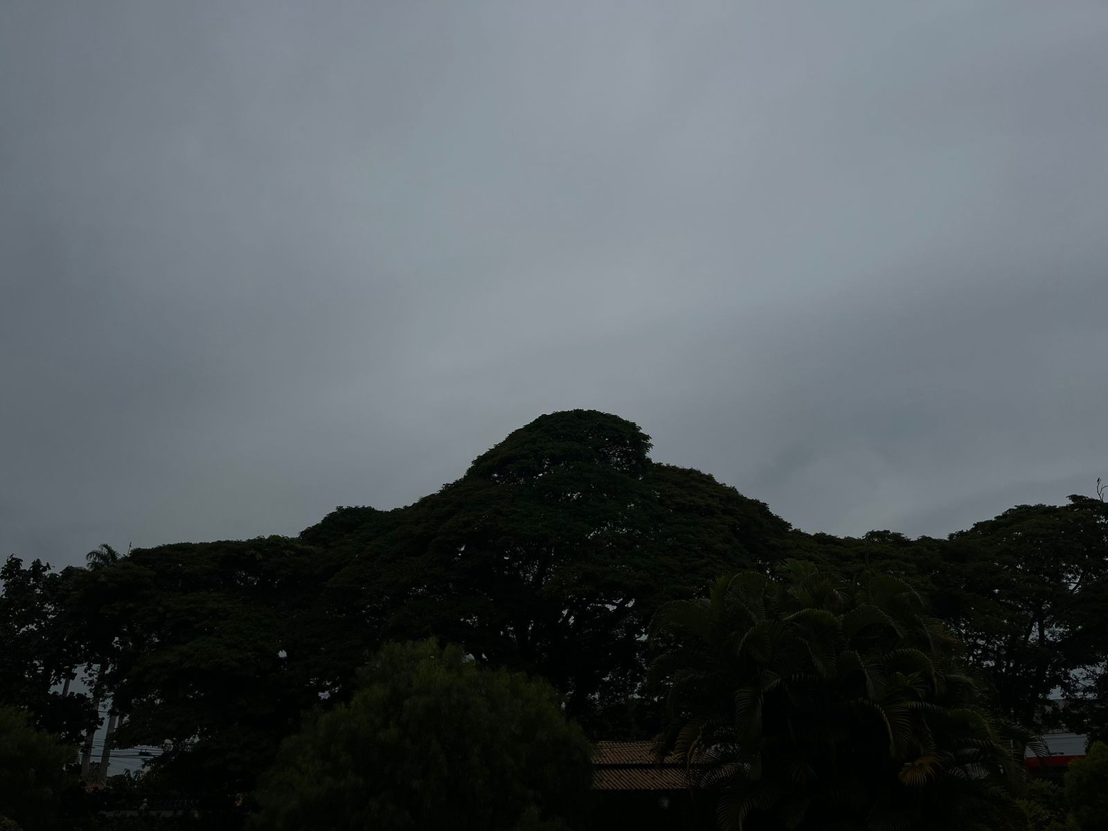 Entenda o que é o 'rio voador' que se forma em Uberlândia e região no ...