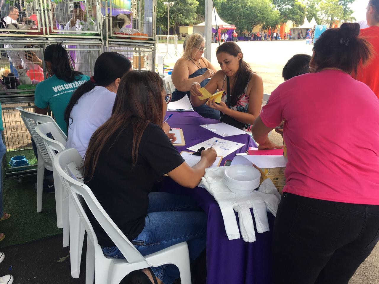 TEM+ Pet: feira de adoção, petshop, orientação veterinária e concurso ...
