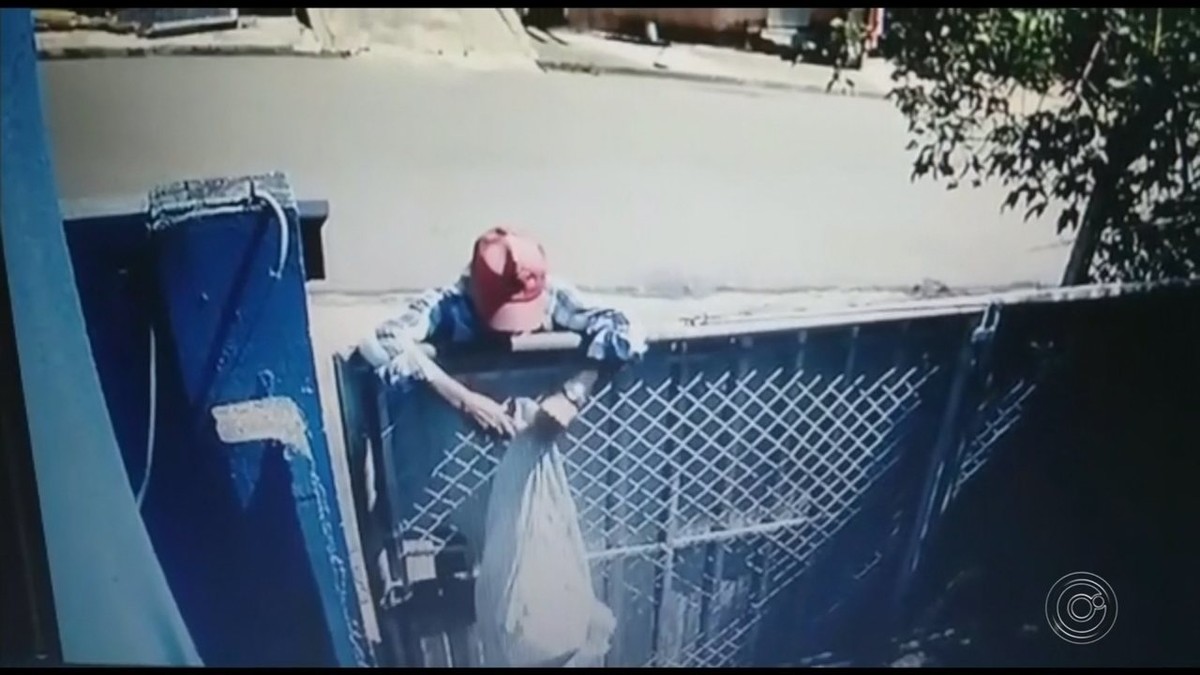 Câmera de segurança flagra homem jogando gatos por cima de portão em ...