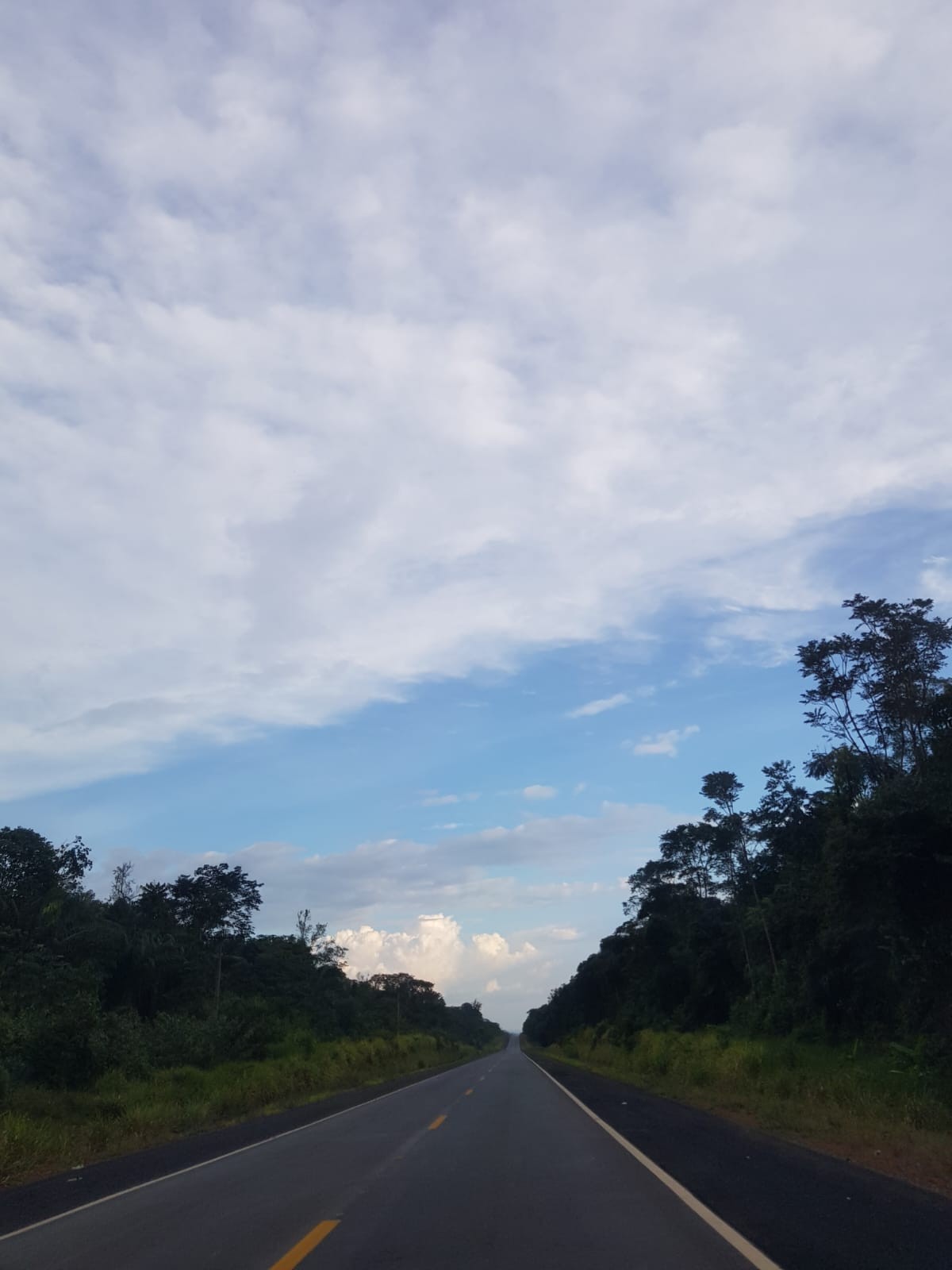 BR-432 é rota alternativa enquanto BR-174 estiver interditada em ...