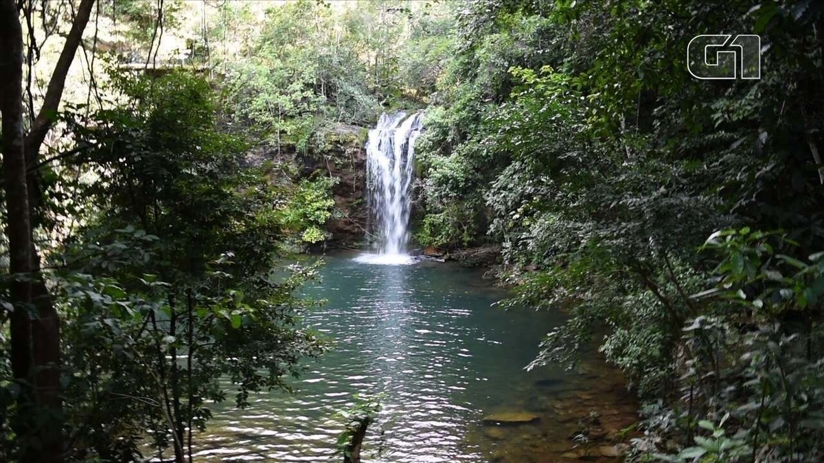 ‘Faina, sim’: moradores fazem campanha para divulgar belezas da cidade ...