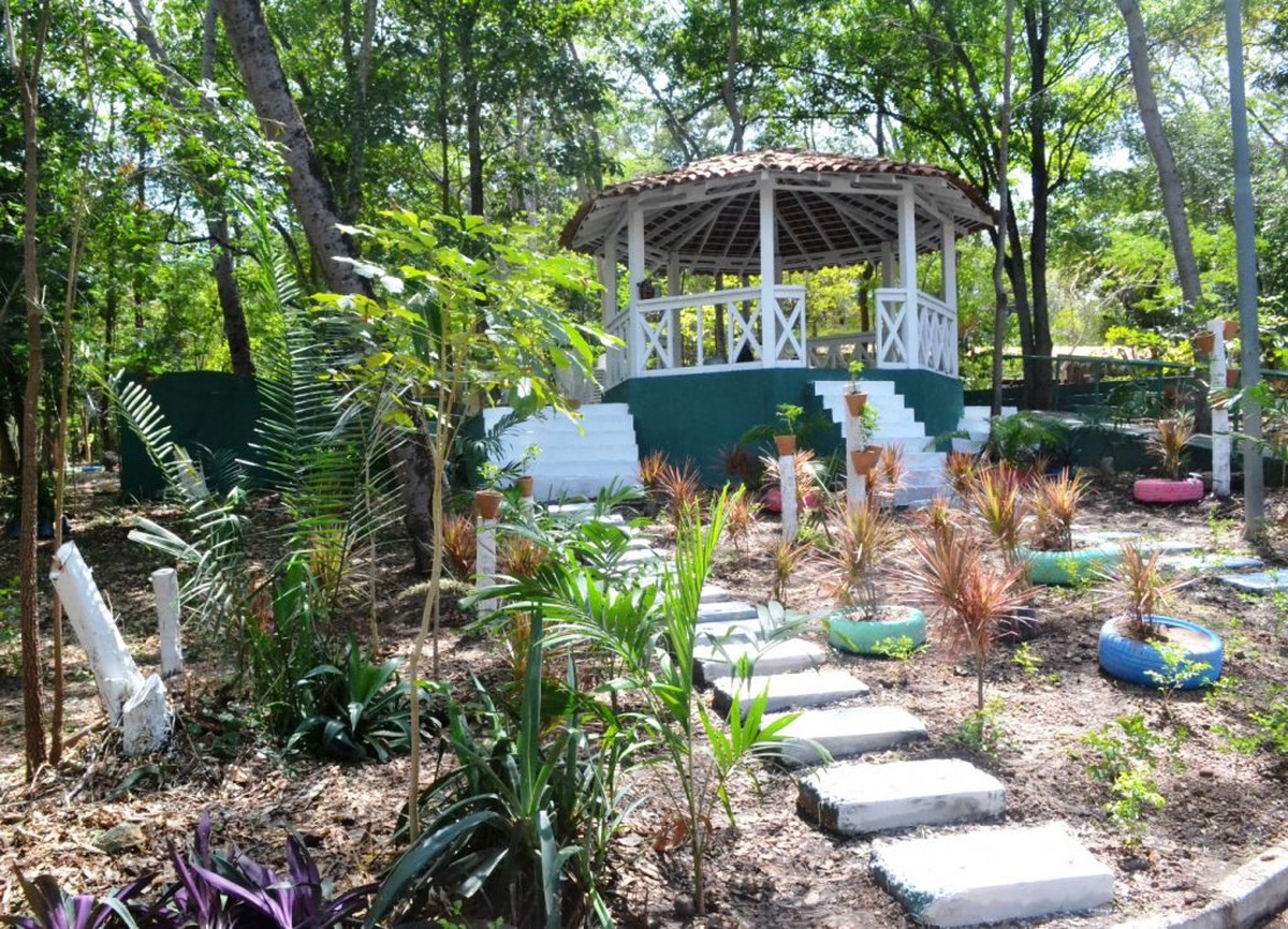 Parque da Cidade, em Teresina, recebe edição do Natal Encantado com ...