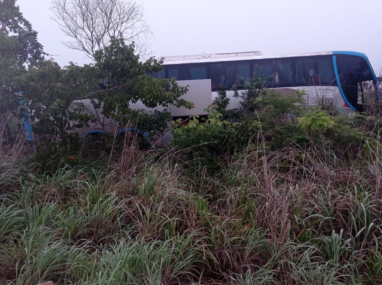 Batida entre ônibus e carro deixa um morto e feridos na BR-365 | Triângulo Mineiro | G1