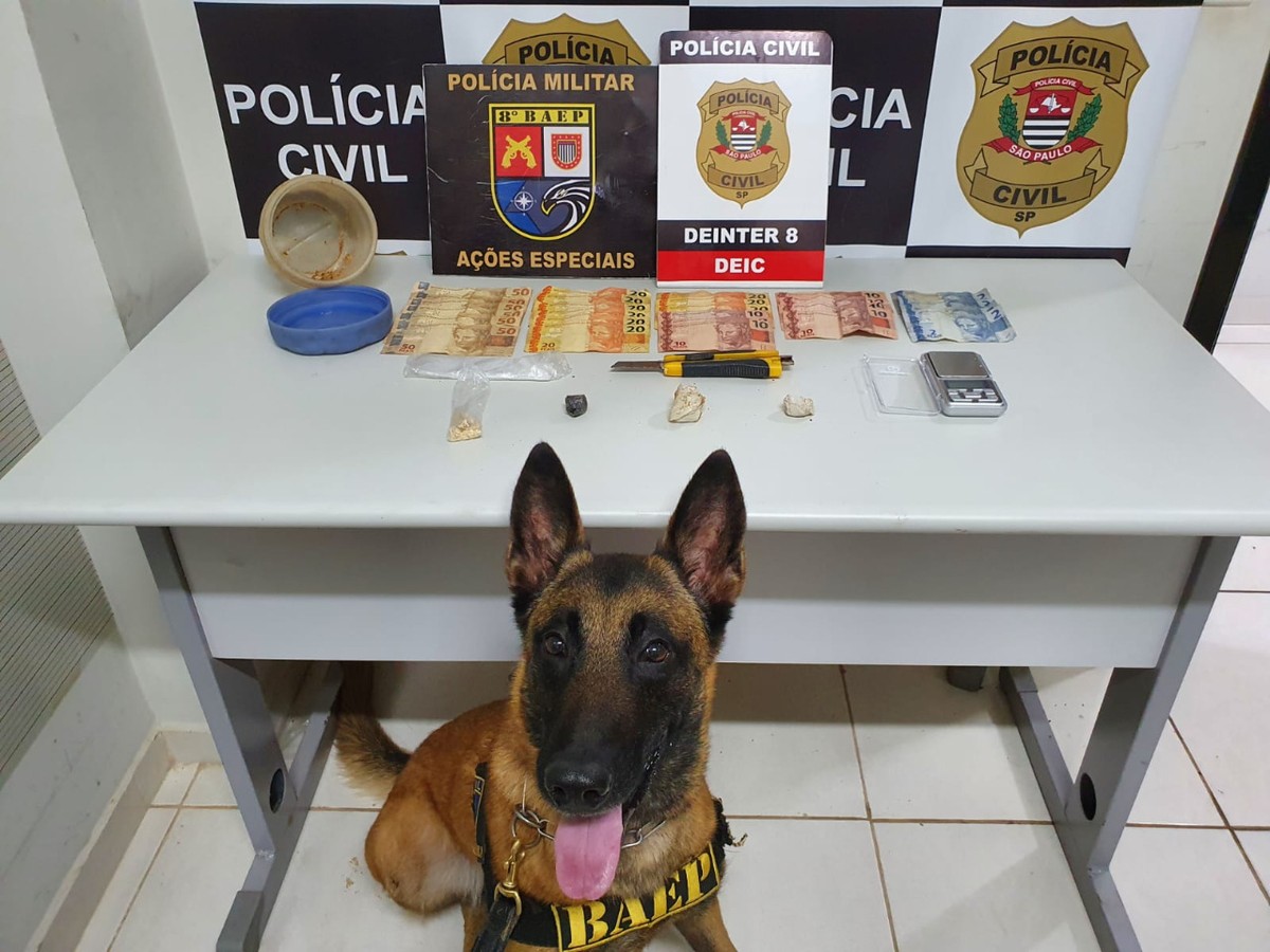 Mãe E Filho Adolescente Atuam Juntos No Tráfico De Drogas E Acabam