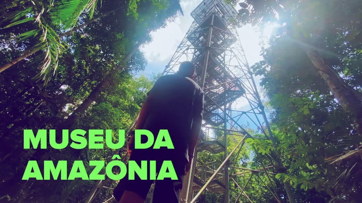 Museu da Amazônia (Musa) reúne trilhas, laboratórios experimentais e ...