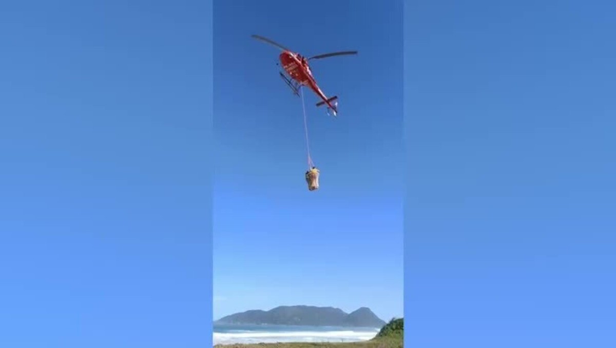 Entenda como funciona a técnica de Puçá, que salvou surfista à deriva ...