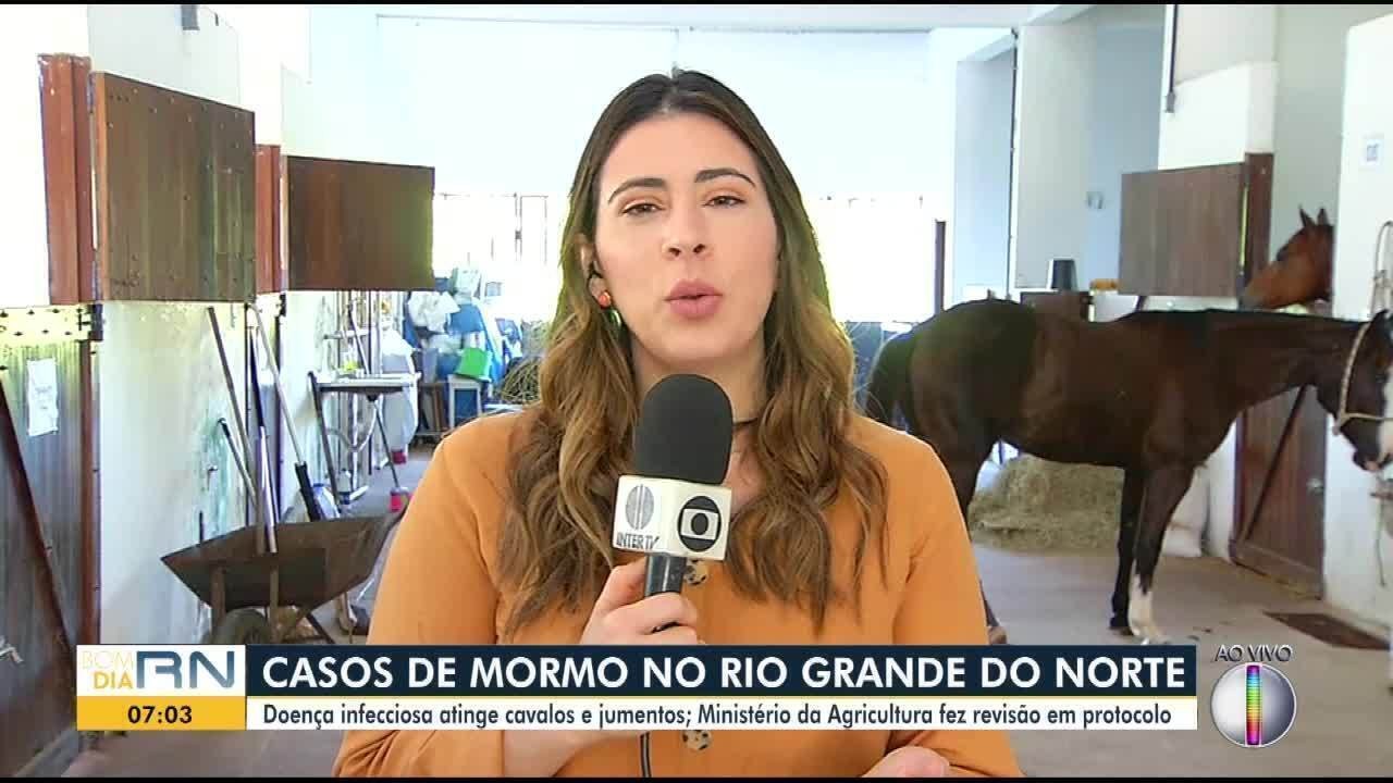 Secretaria de Saúde investiga caso suspeito de mormo em humano no RN ...