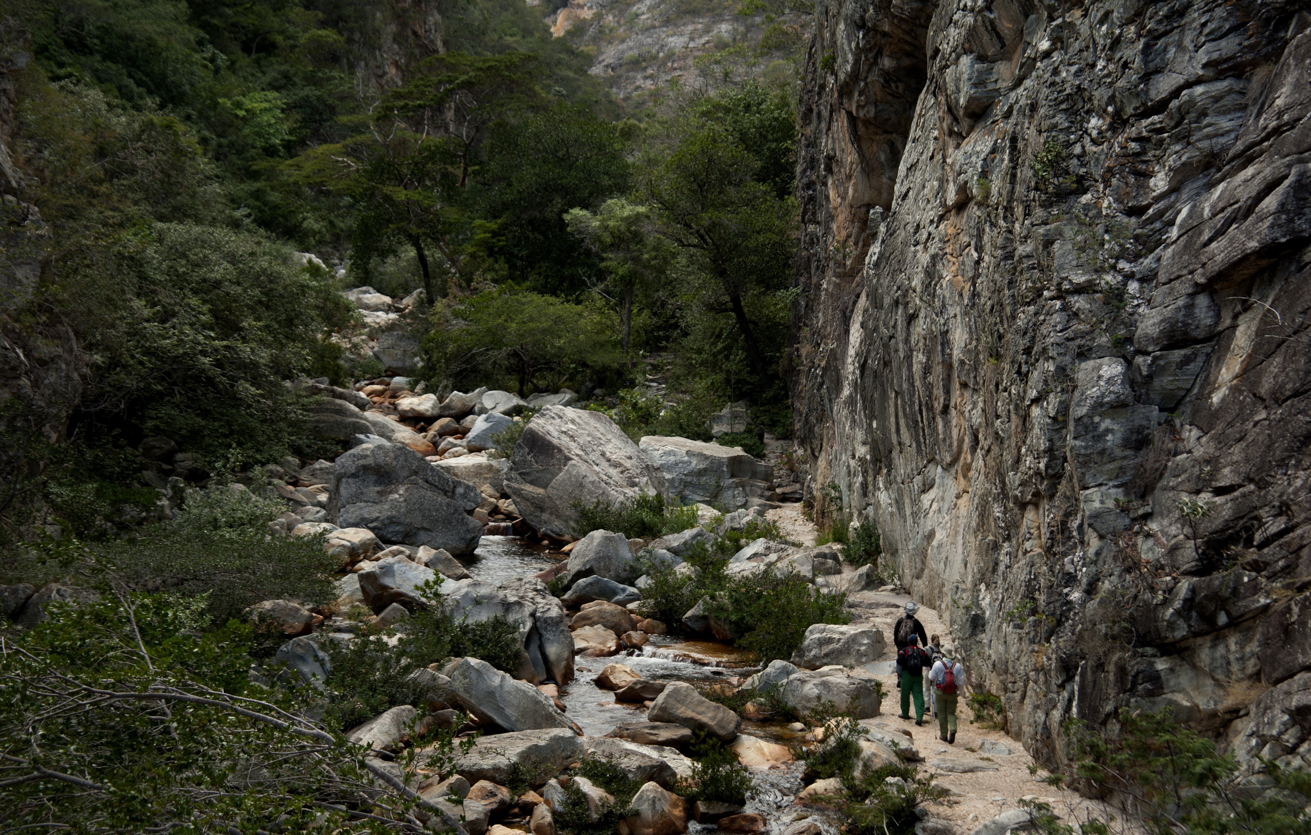 Homem é preso por extrair cristais no parque estadual de Serra Nova e ...