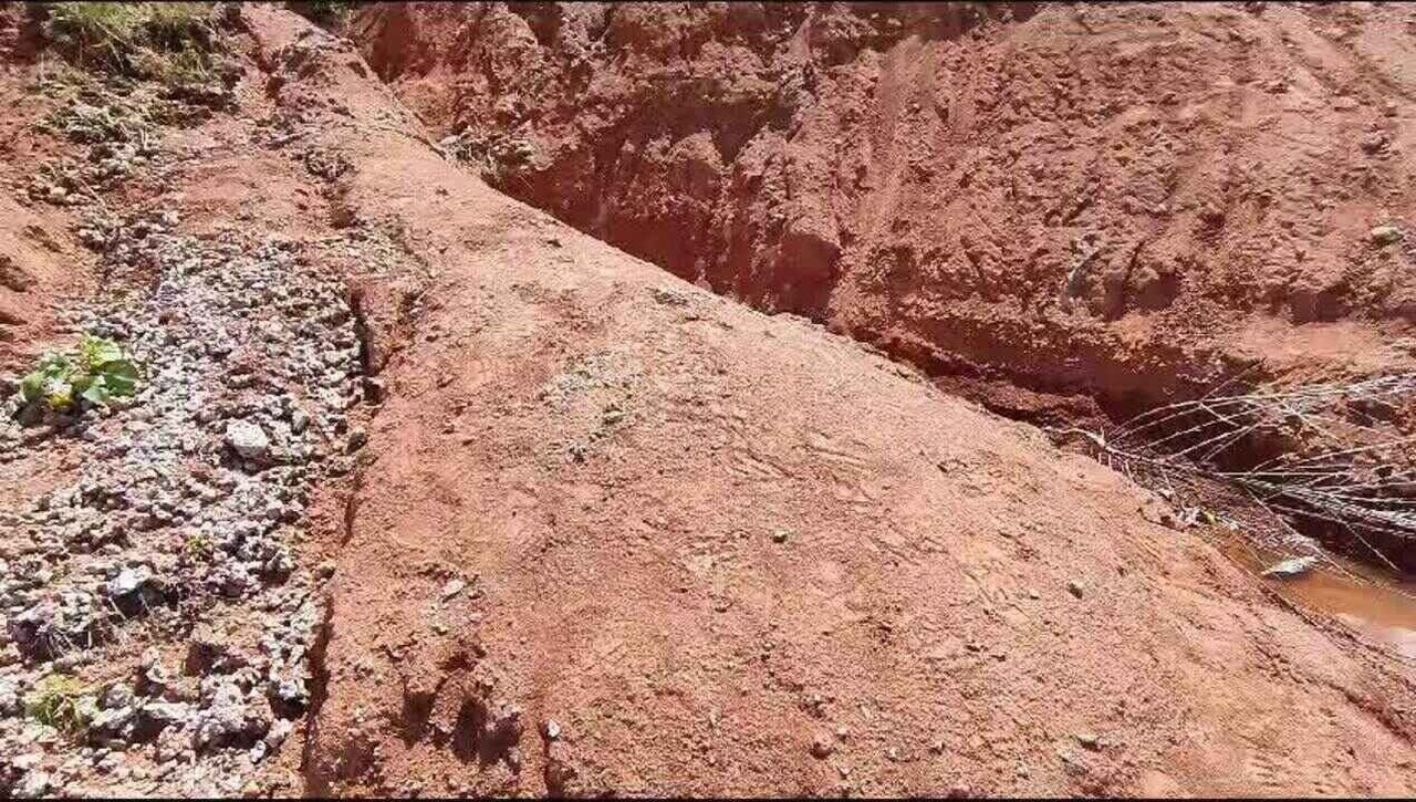 'Tataravô dos mamíferos': entenda a diferença entre dinossauros e ...