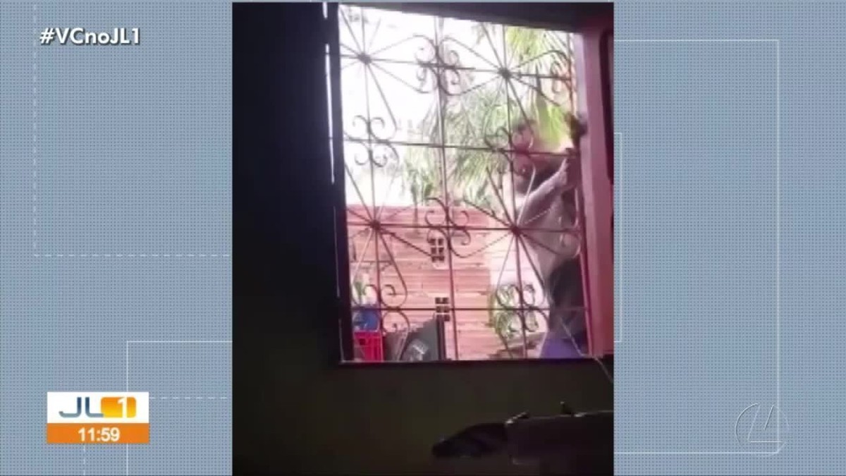 Homem é Preso Após Arrancar Grade Da Casa Da Ex Companheira Para Agredi