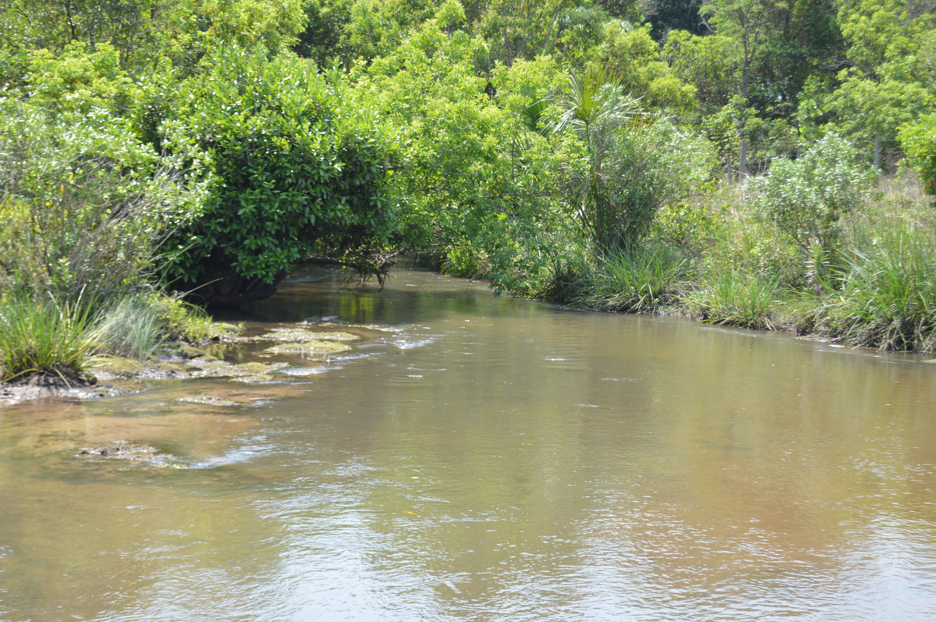 Bacia do Guariroba supera a degradação e se torna exemplo de ...