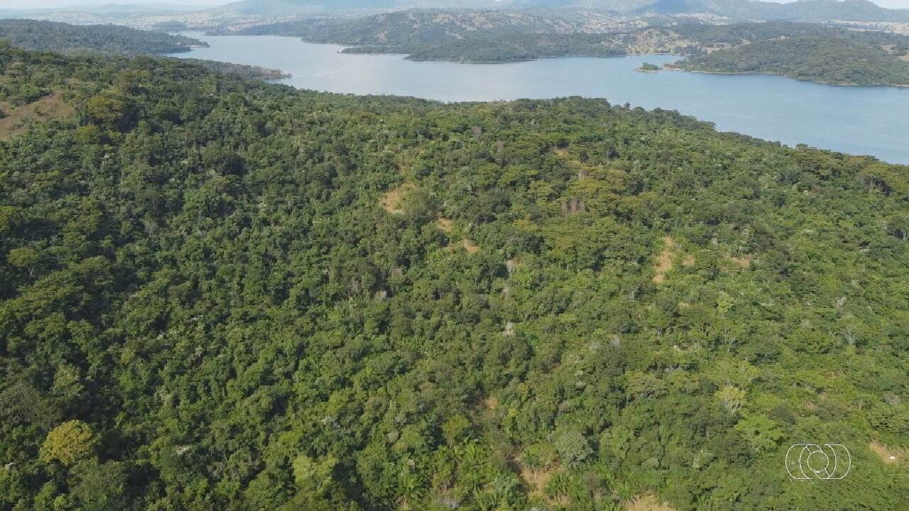 Mata fechada e mamíferos de grande porte: conheça reserva natural de ...