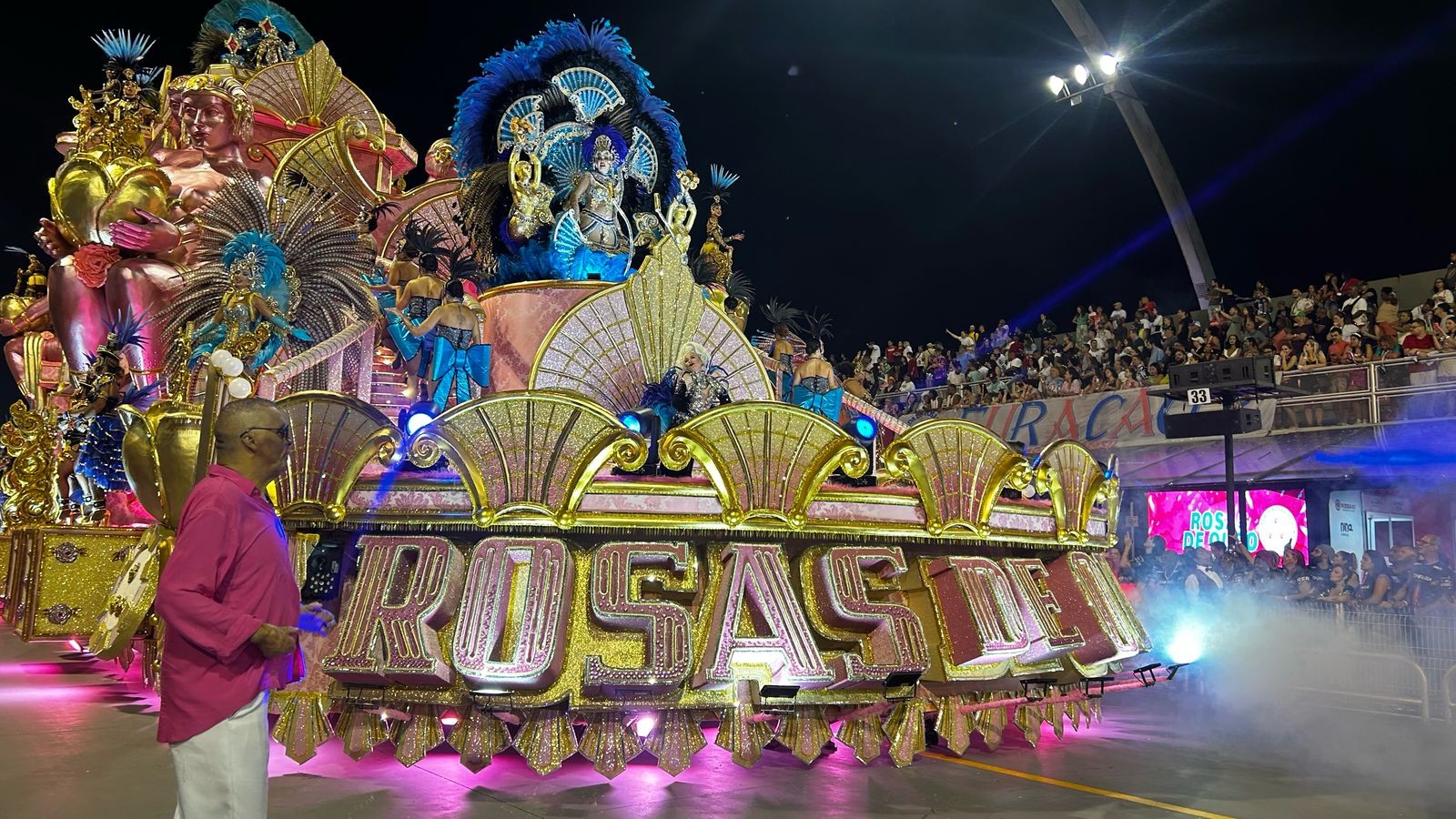 Rosas de Ouro campeã: veja quais são as escolas de samba mais ...