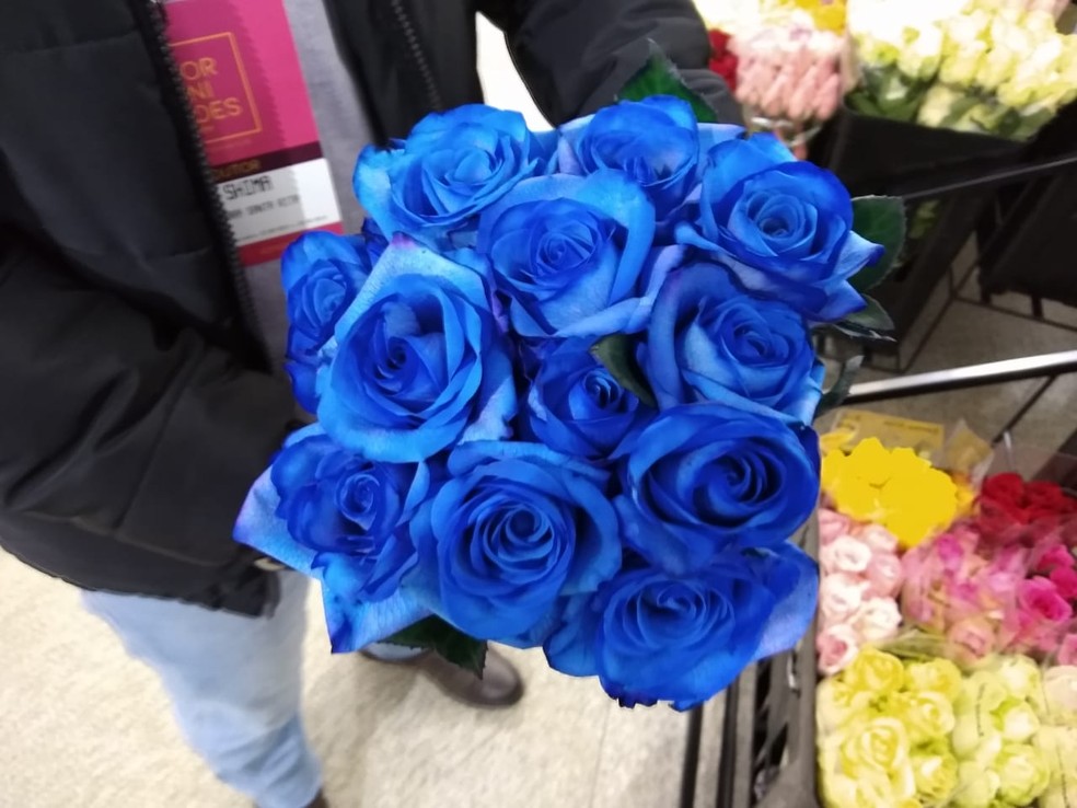 flor rosa e azul