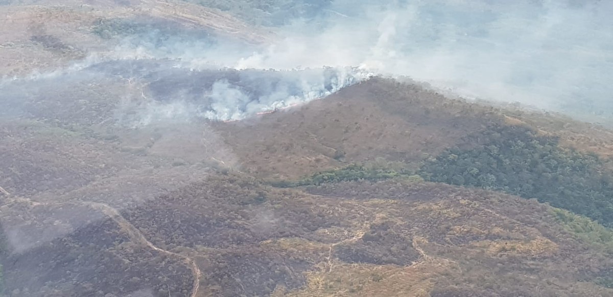 Incêndio queima 400 hectares em área de preservação próximo à nascente ...