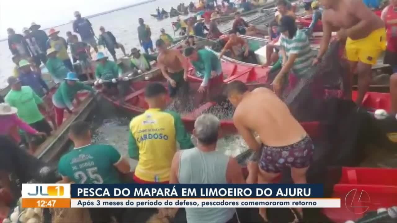 Pesca do mapará volta a ser liberada e mobiliza multidão de pescadores ...