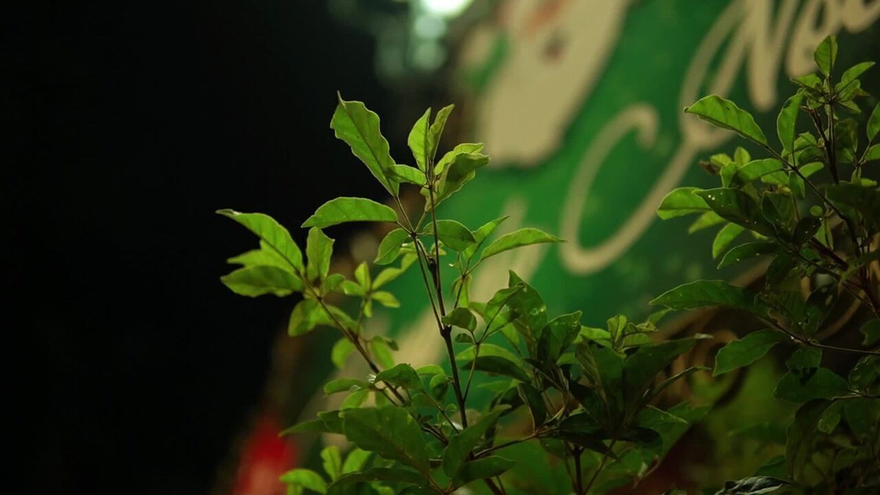 Casa do Noel leva magia ao Socorro Luzes de Natal 2023 | SOCORRO "LUZES ...