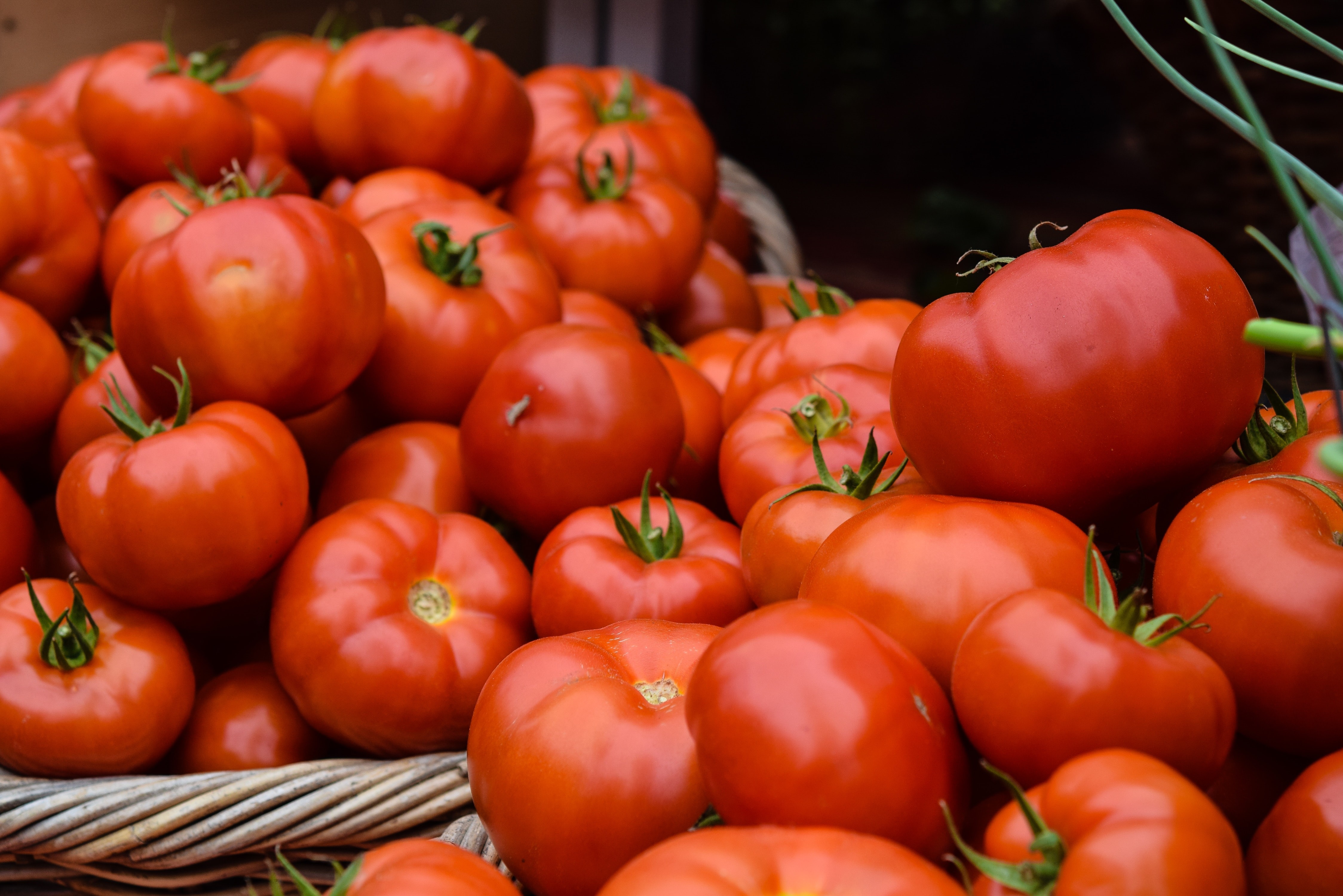 Calor extremo e estiagem fizeram alimentos ficarem mais caros no RS ...