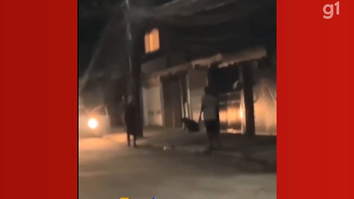 VÍDEO mostra momento em que capivara é atacada a pauladas por grupo de ...