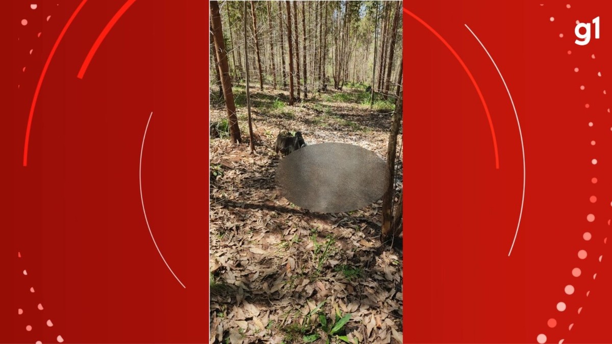 Corpo De Mulher é Encontrado Decapitado E Sem Uma Das Mãos Em São