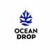 Ocean Drop: A marca de suplementos com uma causa ambiental | G1