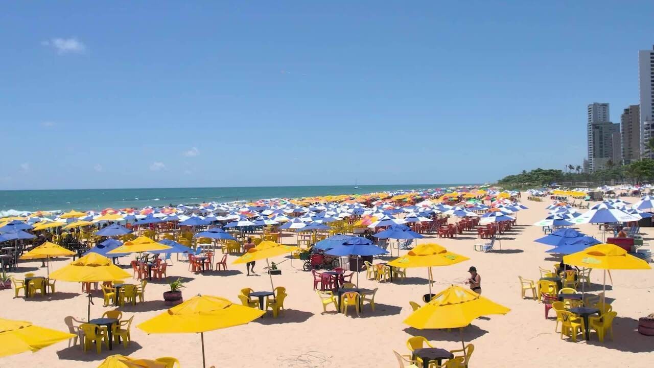 Praia Limpa: projeto de conscientização vem transformando o Recife há ...