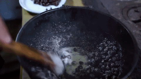 Bicho-do-coco: larva de besouro com 'gosto de fruta' é consumida em ...