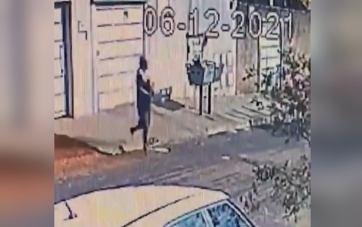 Homem é Preso Suspeito De Matar A Cadela Da Namorada A Paulada E Forjar