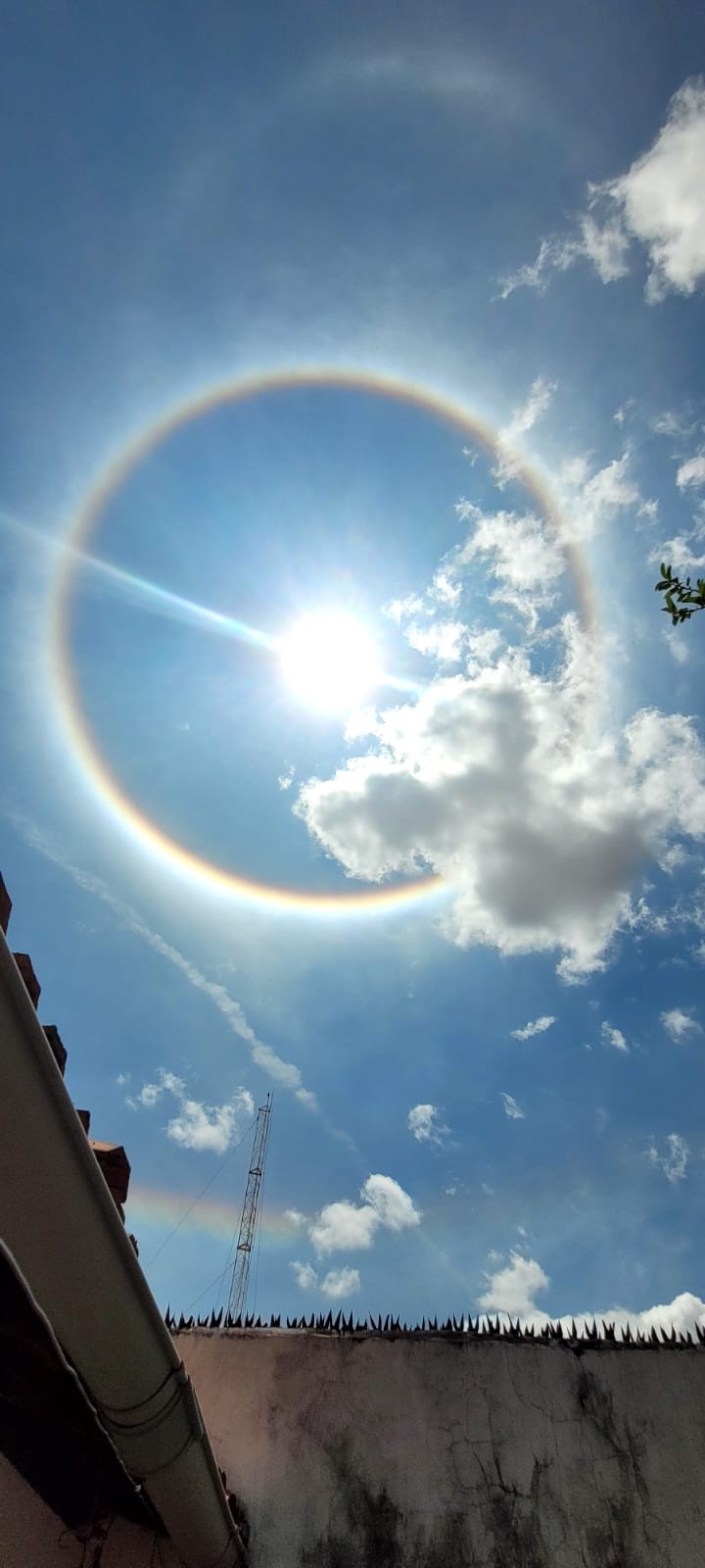 Halo solar: 'anel' que se forma ao redor do sol chama a atenção em ...