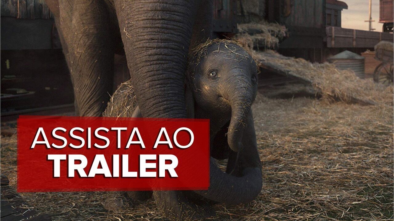 'Dumbo' estreia nas salas de cinema de Rio Branco; veja trailer | G1