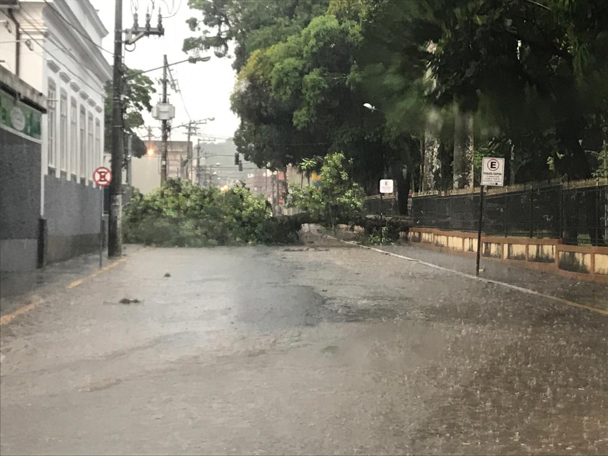 Chuva de verão atinge Valença com registro de queda de árvore | Sul do ...