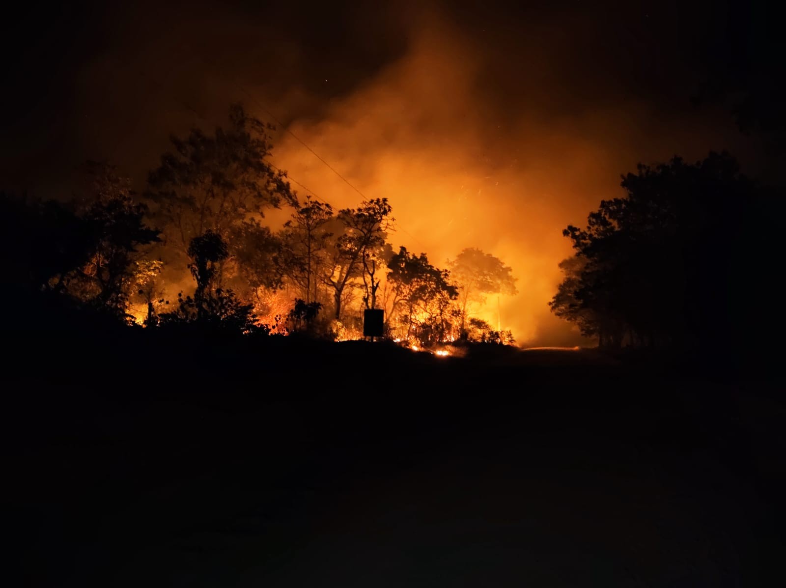 Em menos de 24h, incêndio de grandes proporções volta atingir área de ...