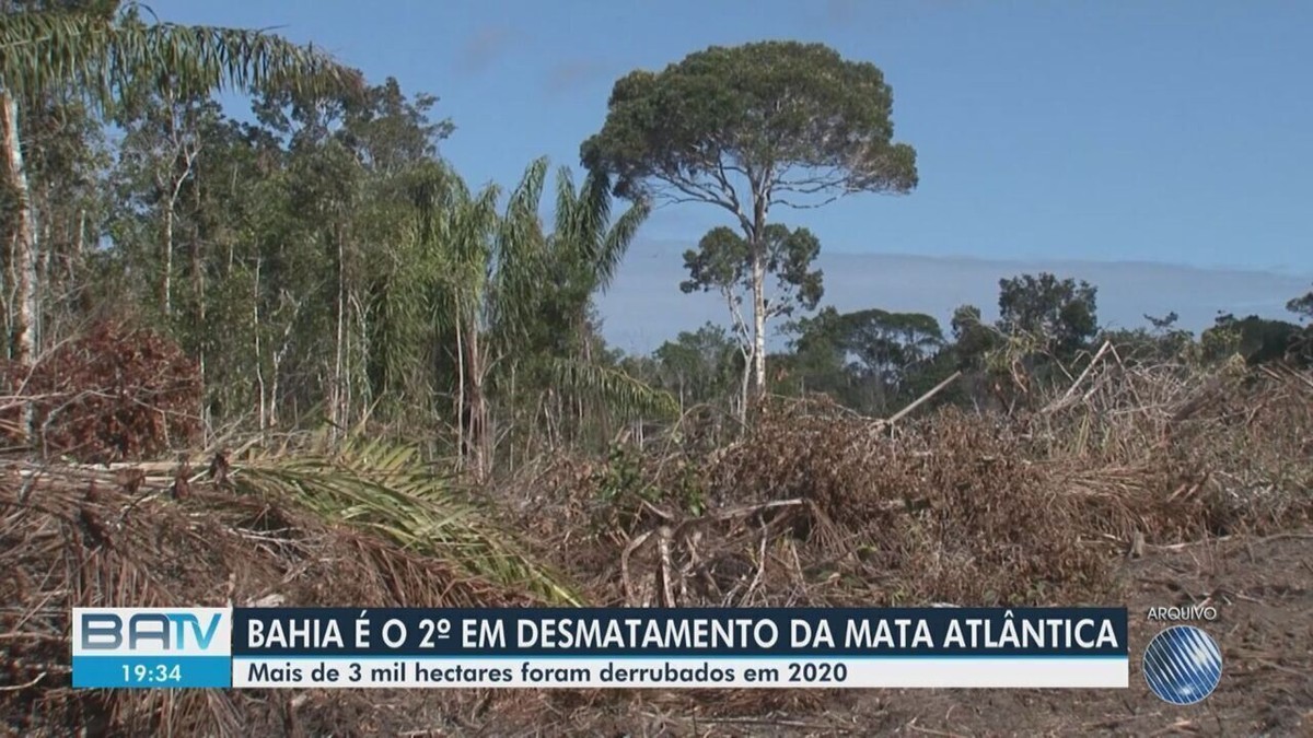 Wanderley, na Bahia, é a terceira cidade do Brasil que mais desmatou em ...