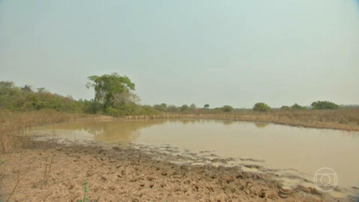 Efeitos da estiagem se agravam em oito estados brasileiros | Jornal ...