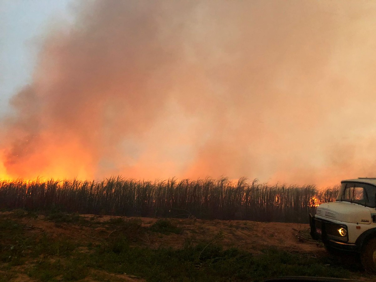 Incêndio atinge canavial às margens de vicinal e prejudica tráfego em ...
