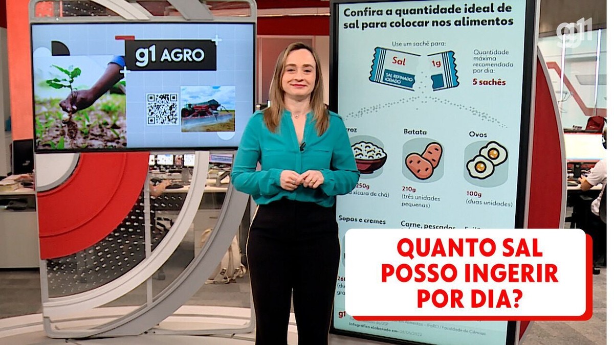 Sal refinado, light, do Himalaia: qual deles é melhor para a saúde ...