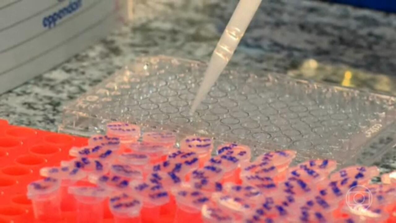 Pesquisa da vacina contra crack e cocaína da UFMG recebe meio milhão de ...