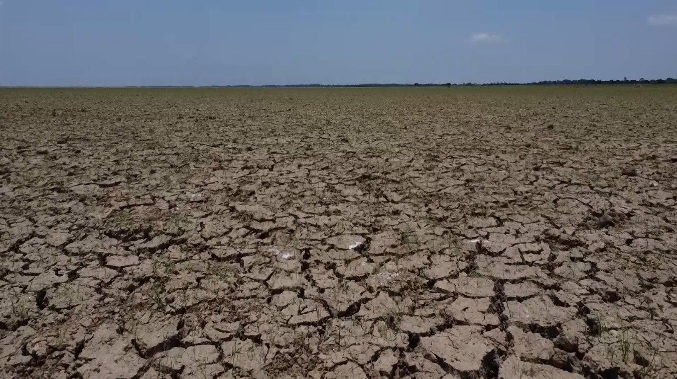 Governo Federal reconhece situação de emergência por seca e estiagem em ...