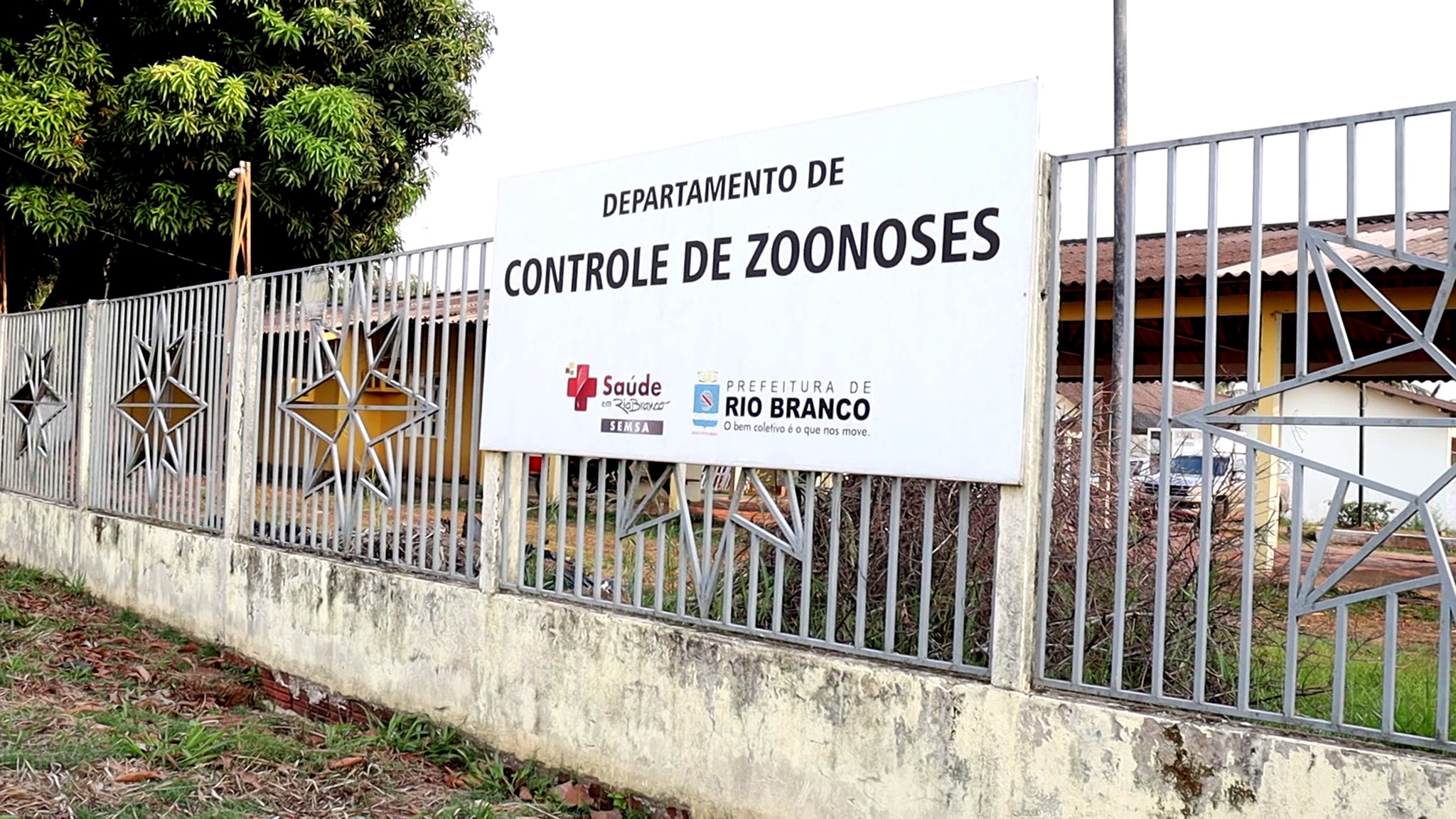 Após quase um ano, MP volta a cobrar reforma do Centro de Zoonoses de ...