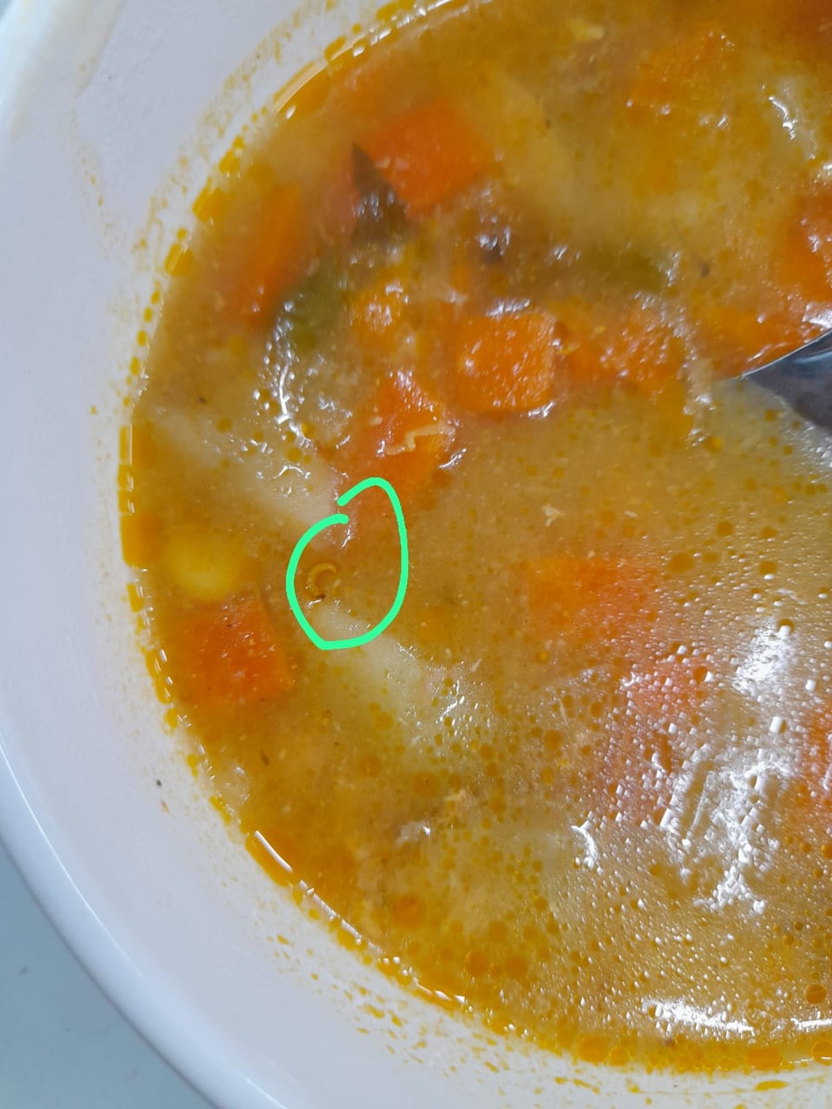 Alunos da UFPE CAA encontram larva em sopa servida no restaurante ...