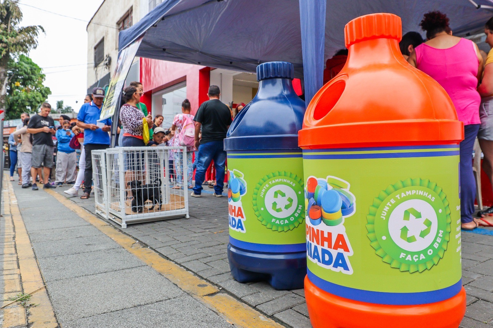 Ferraz de Vasconcelos abre inscrições para castração gratuita | G1