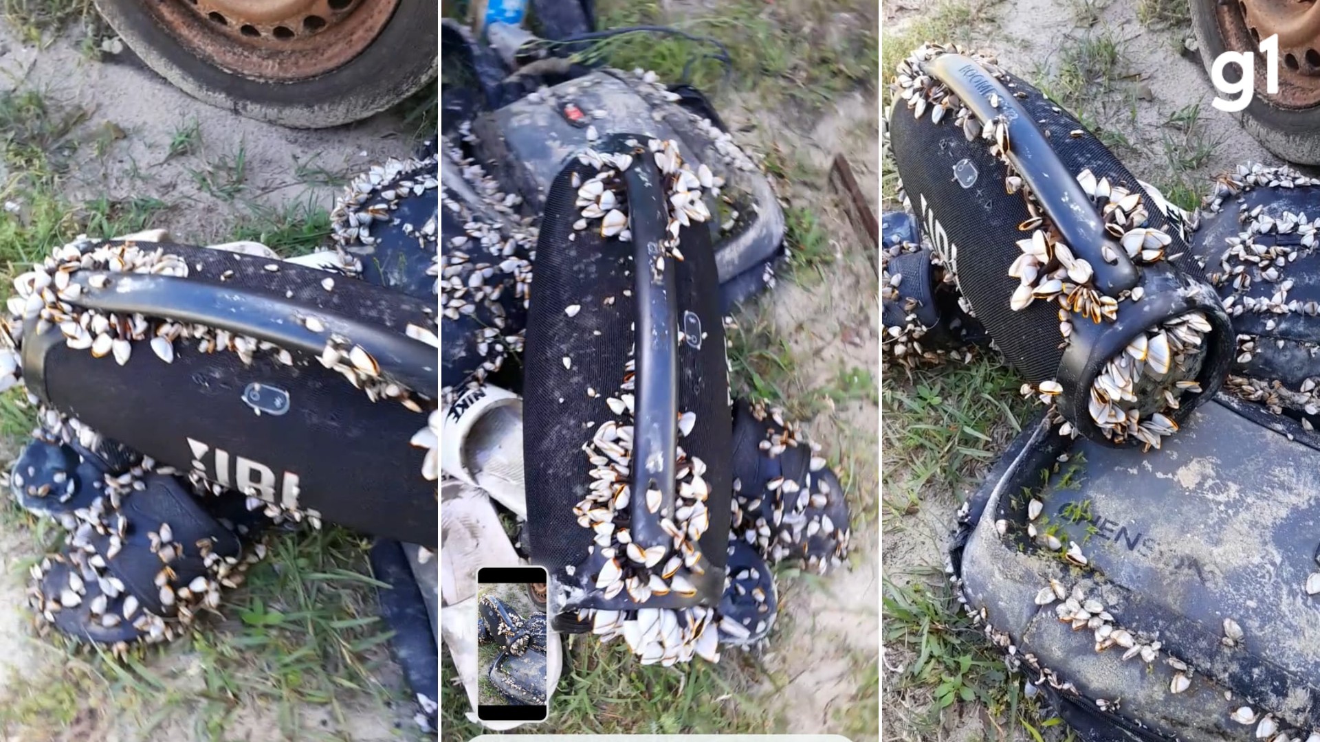 Pescador encontra caixa de som intacta e funcionando após ser levada ...