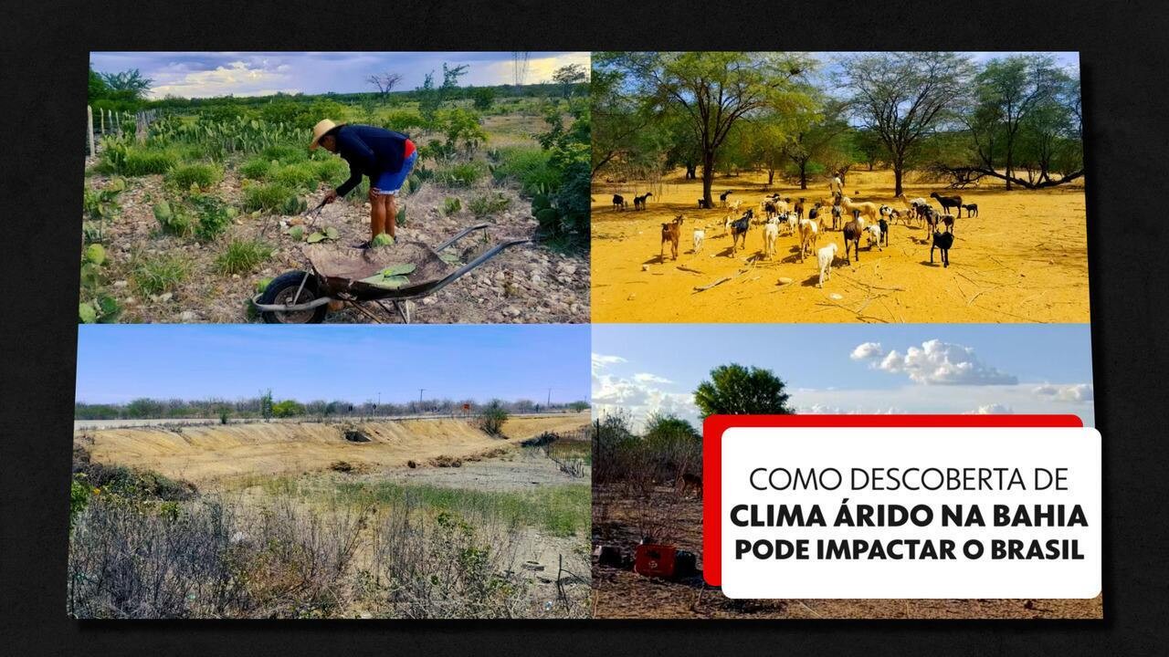 Como a recente descoberta do primeiro clima árido no Brasil pode ...