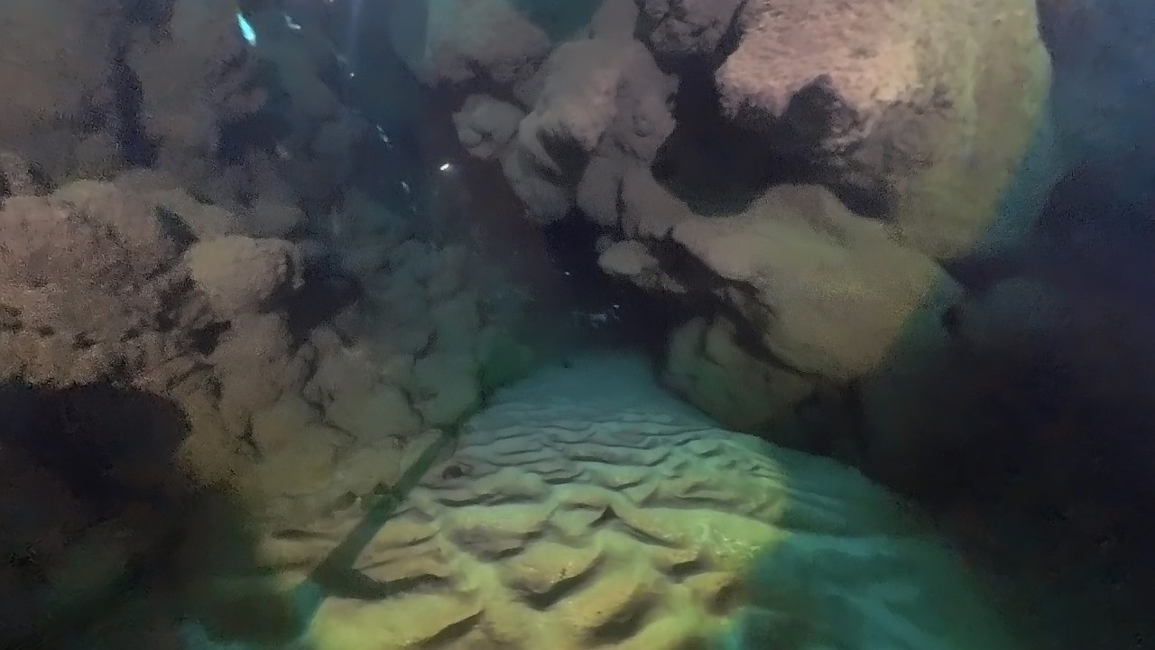 Cavernas submarinas de Tamandaré: veja primeiros registros brasileiros dos refúgios de espécies ...