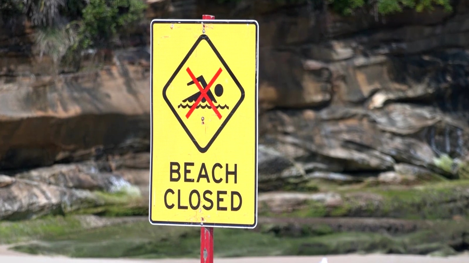 Bolas misteriosas em praias da Austrália eram mini 'fatbergs' com fezes ...