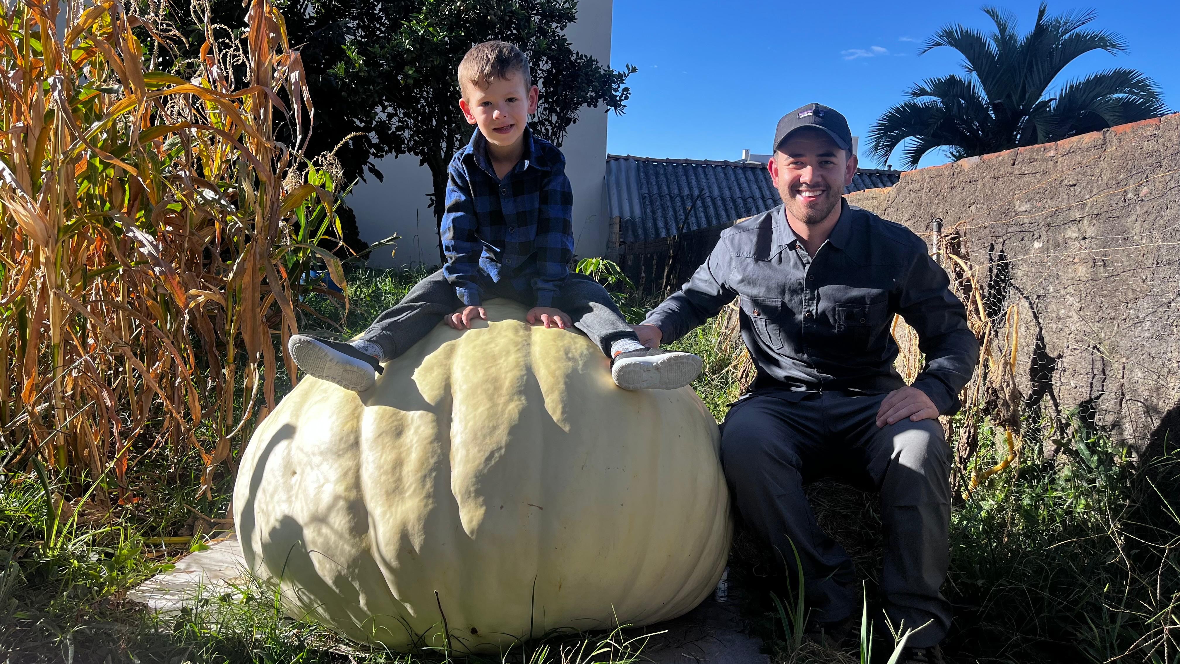Produtor que plantou abóbora gigante de cerca de 300 kg conta detalhes ...