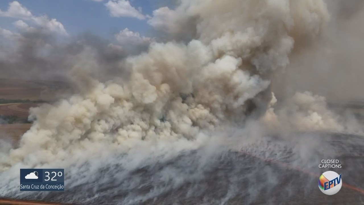 VÍDEO: incêndio em canavial e mata encobre céu de fumaça e assusta no ...