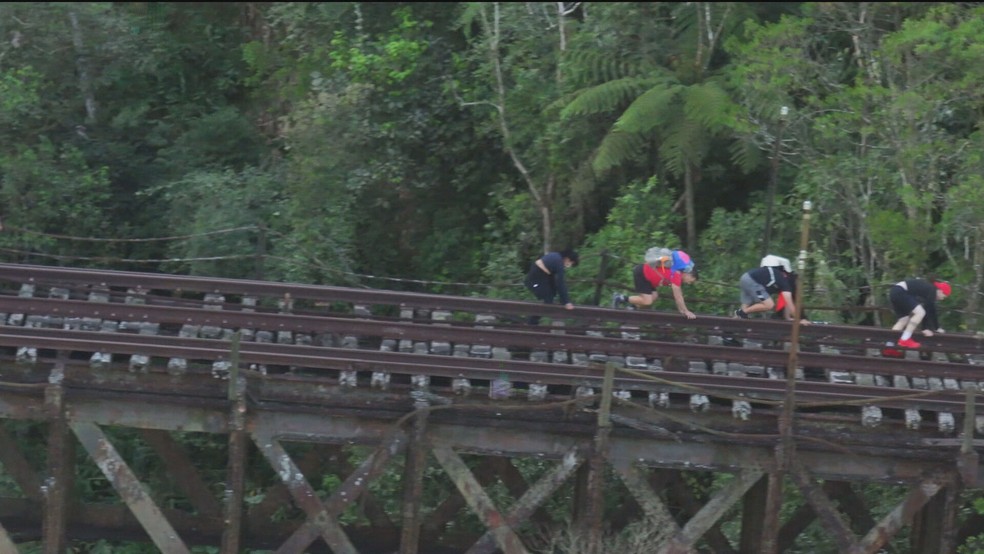 Foto feita em trilha proibida na Serra do Mar de SP apareceu em lista ...