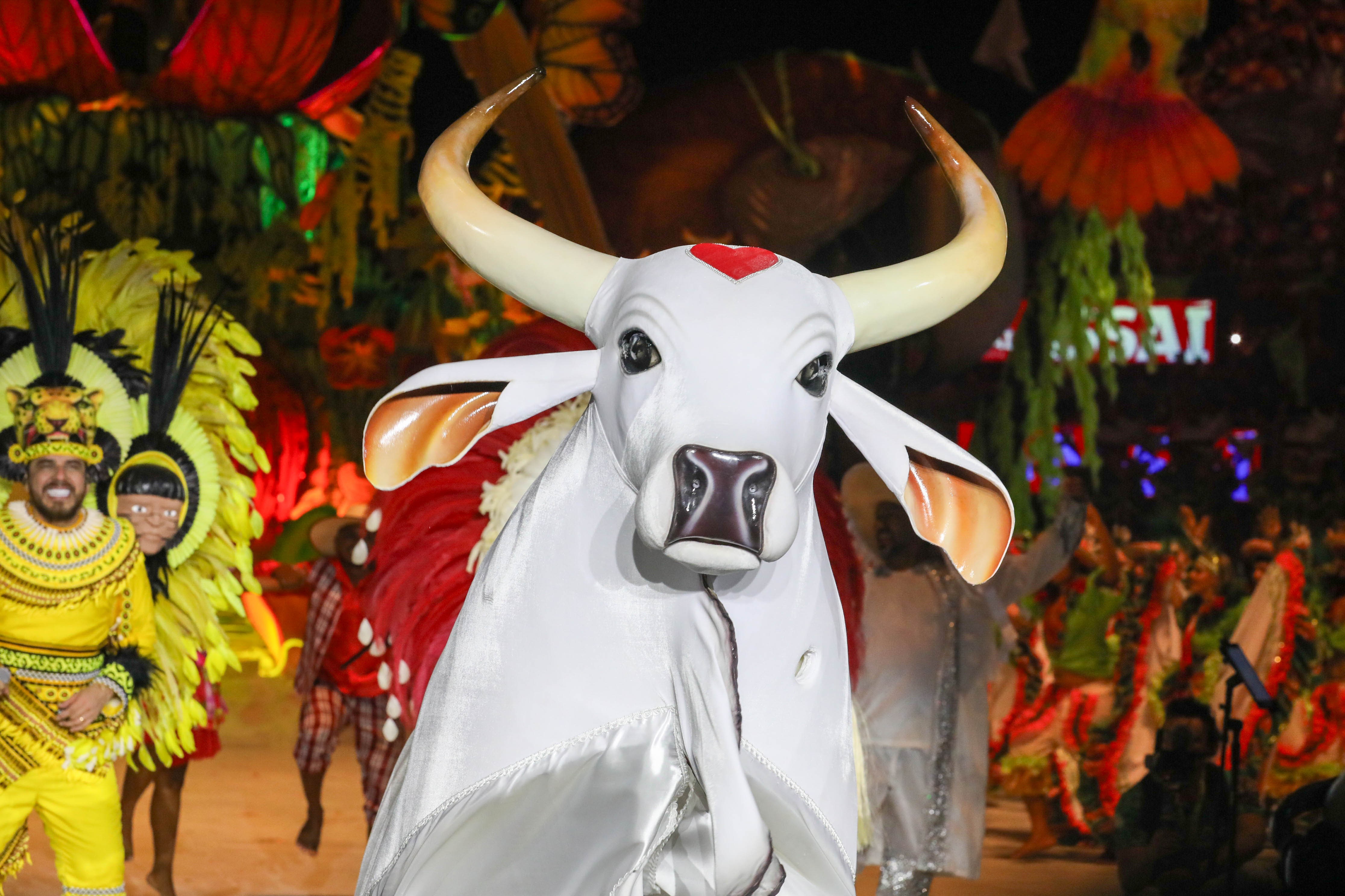 Garantido anuncia tema para o Festival Folclórico de Parintins 2025 ...